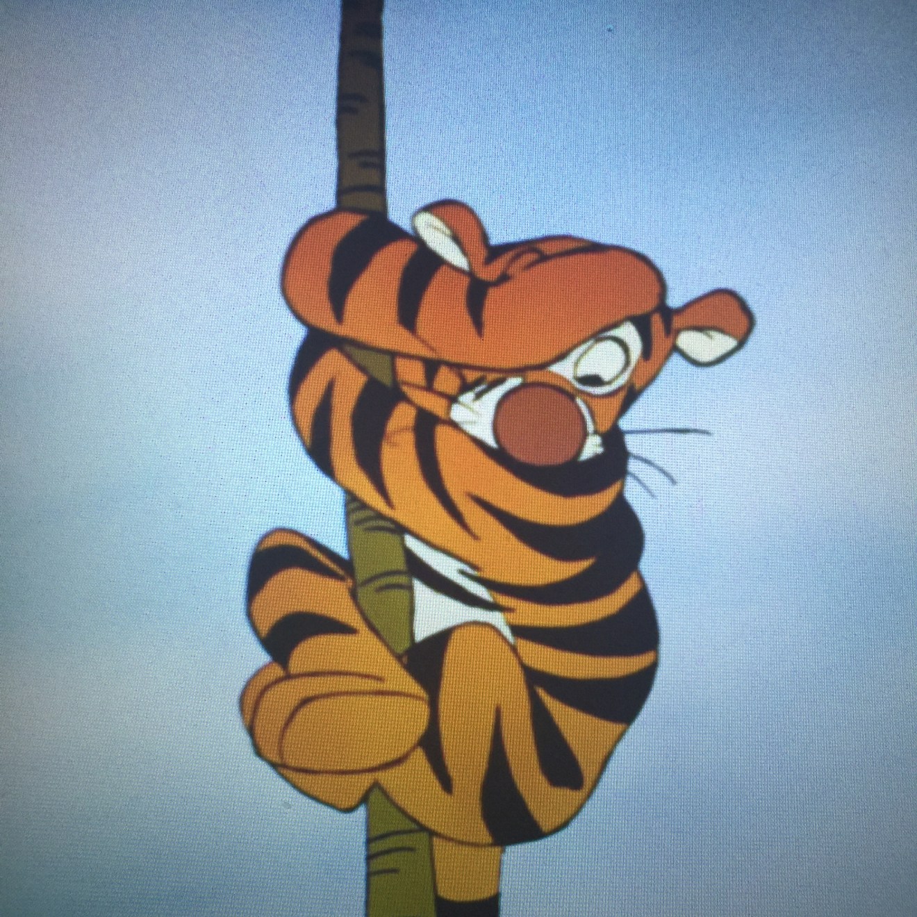 Vault Disney #22 – The Many Adventures of Winnie the Pooh
